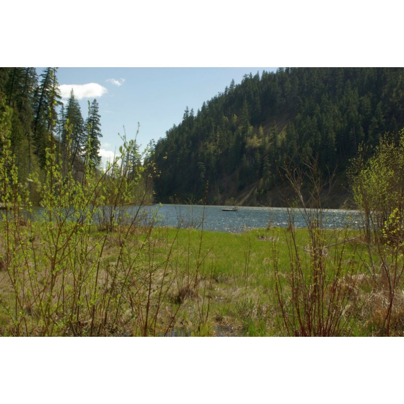 Blue Lake Resort Gallery